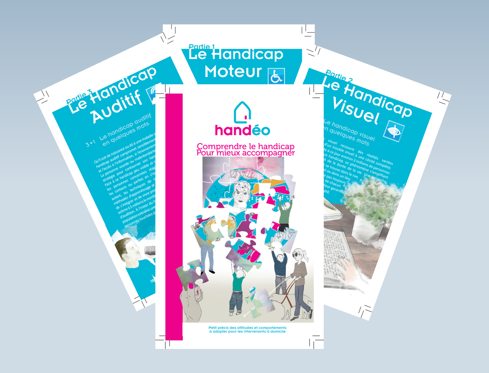 Guide Handéo : Comprendre le handicap pour mieux accompagner - Qual'Va Guide Handéo : Comprendre le handicap pour mieux accompagner - Qual'Va